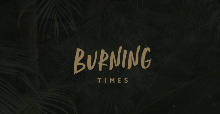 Jungle Jam Brush Font - Download fonts