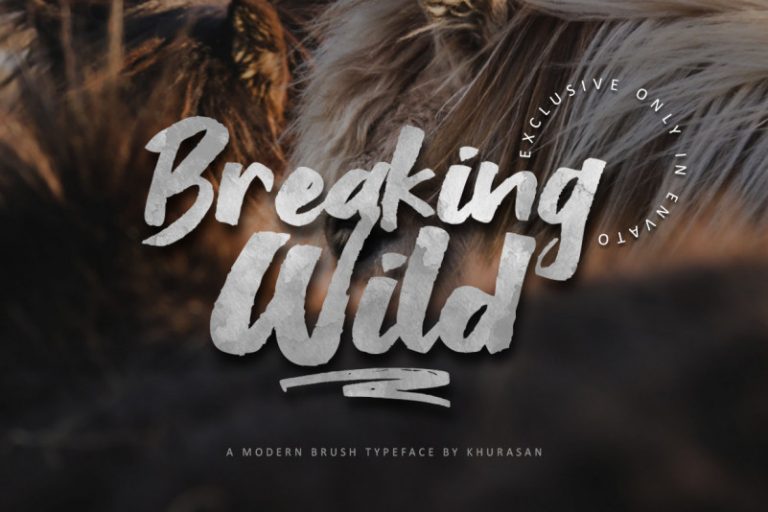 Breaking Wild Brush Font - Download fonts