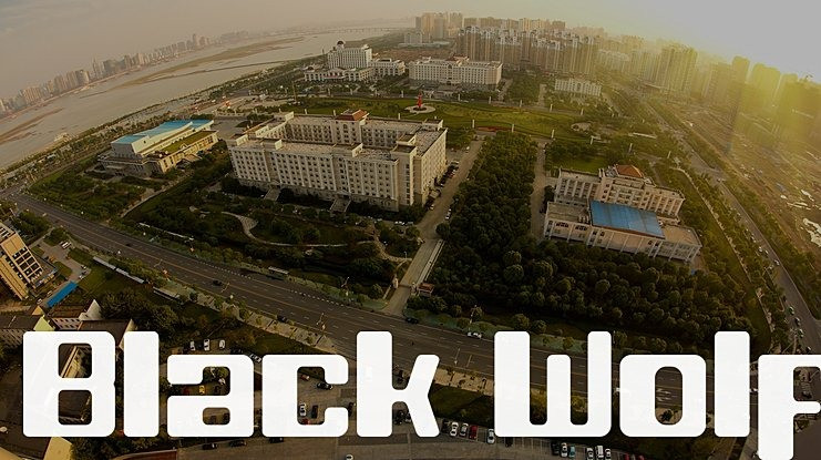 Black Wolf Font - Download fonts